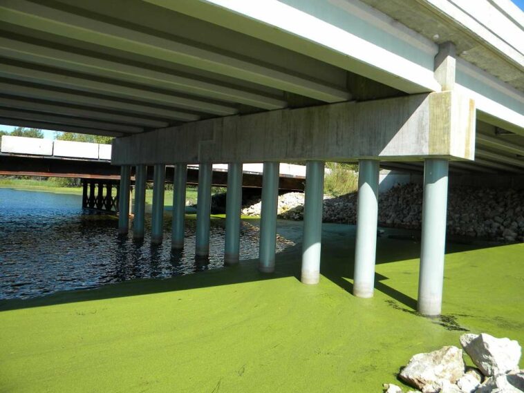 Les Meilleurs Logiciels de Calcul de Ponts : Guide Complet pour les ...